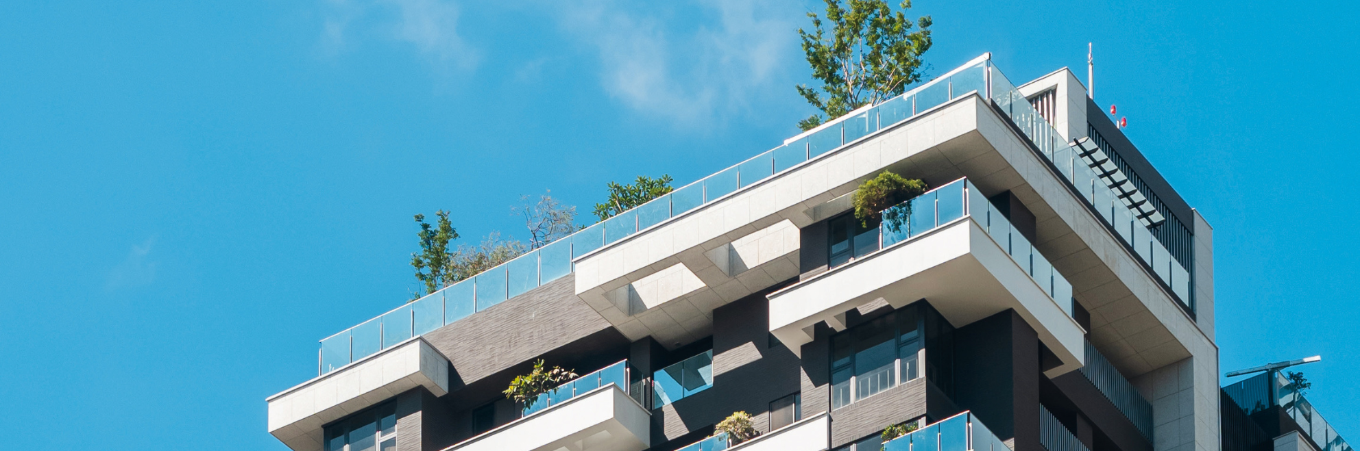 LEFI : une baisse d'impôts historique au crédit de la CGI ! - Immoscope